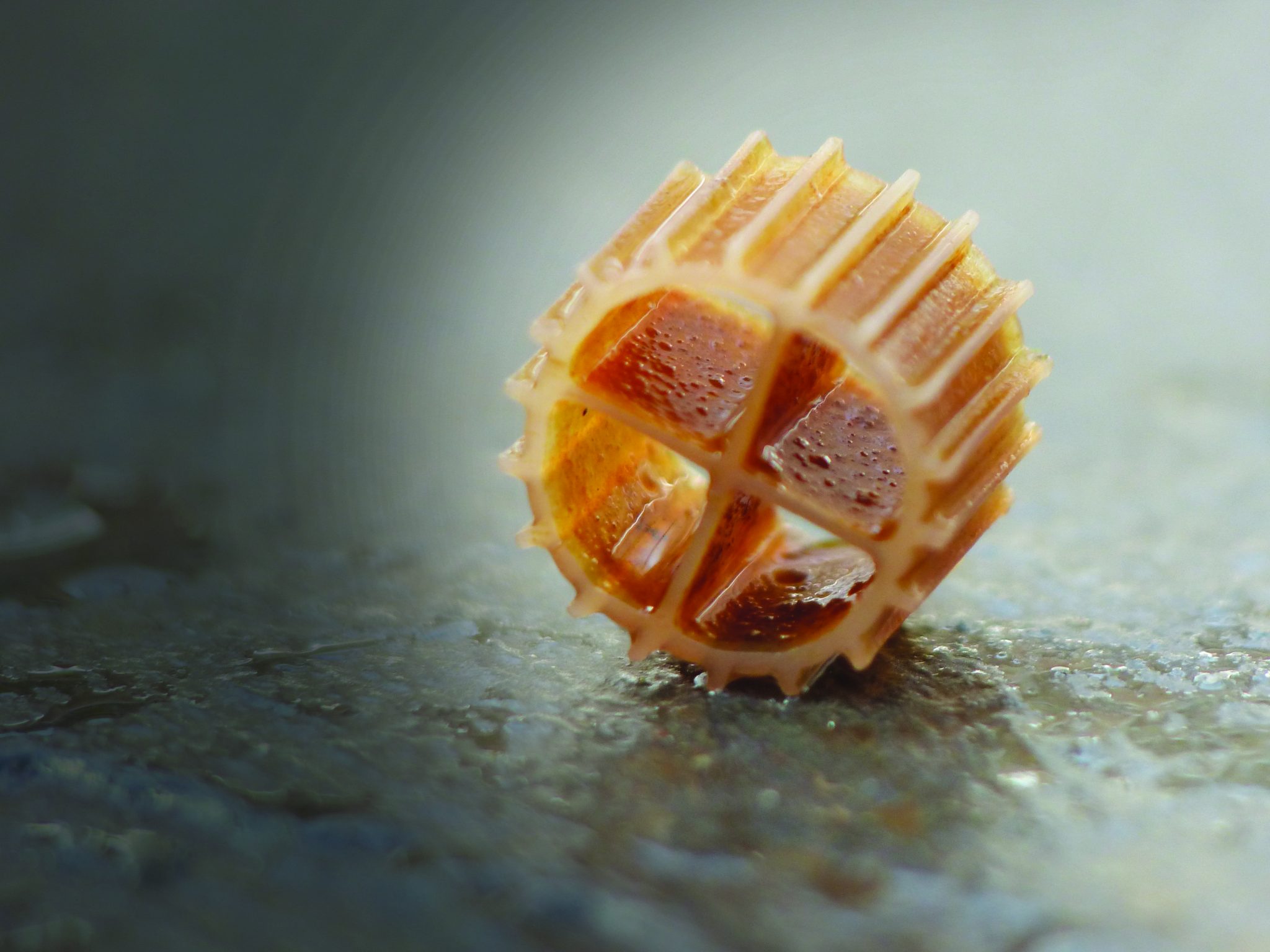 Flocell BM Bio Media | Exceptional Water Filtration Solution